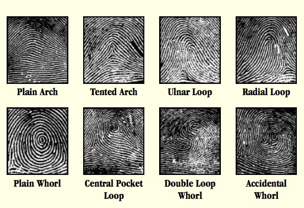 Understanding Fingerprints